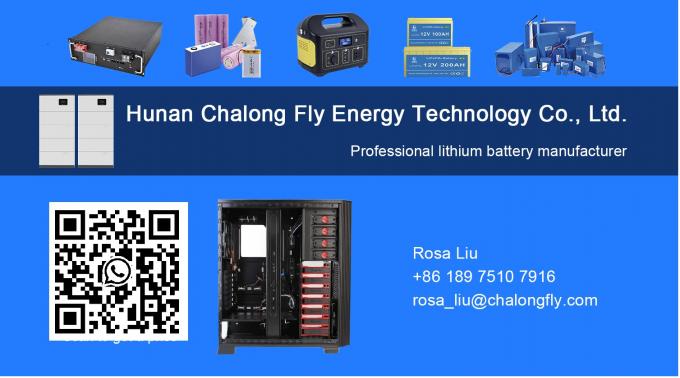 CLF OEM ODM IP65 LiFePO4 Battery Pack Lithium Battery With Long Life ...