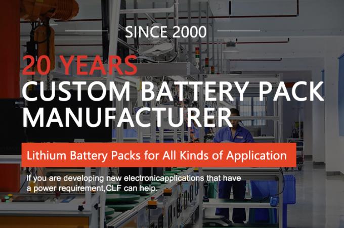 CLF Electric Forklift AGV Lifepo4 EV Lithium Battery Packs OEM 24V 48V ...