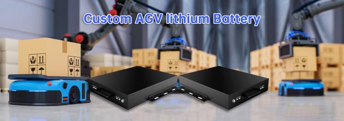 48V 60Ah Carrier Power Lthium Battery Pack
