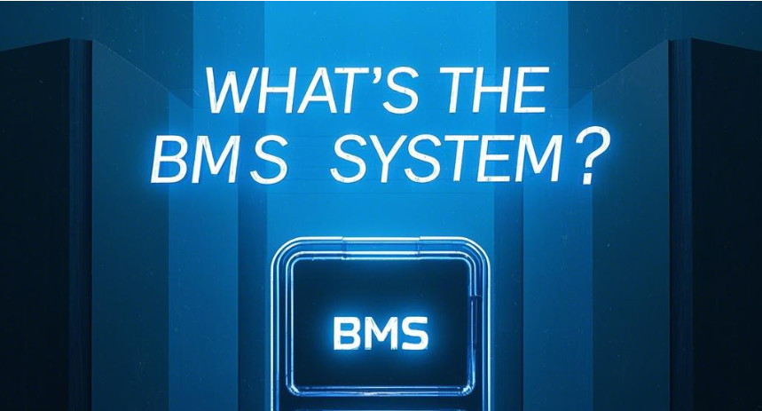 What's the BMS system?